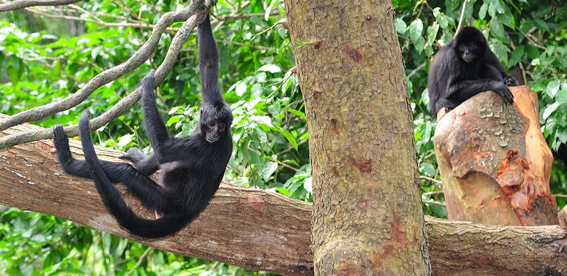 Things to Do in Cancun: 7 Ways to Experience More Than the Beach