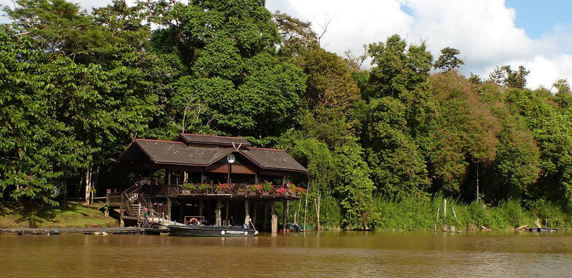 Rainforest Vacations: 7 Lodges in the Heart of the Jungle