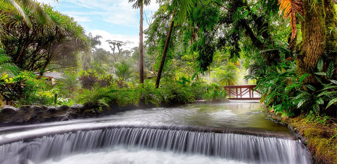 Rainforest Vacations: 7 Lodges in the Heart of the Jungle